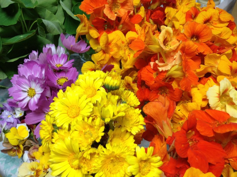 Suki Flower Farm｜スキフラワーファーム – Organic Flower Japan | オーガニックフラワージャパン